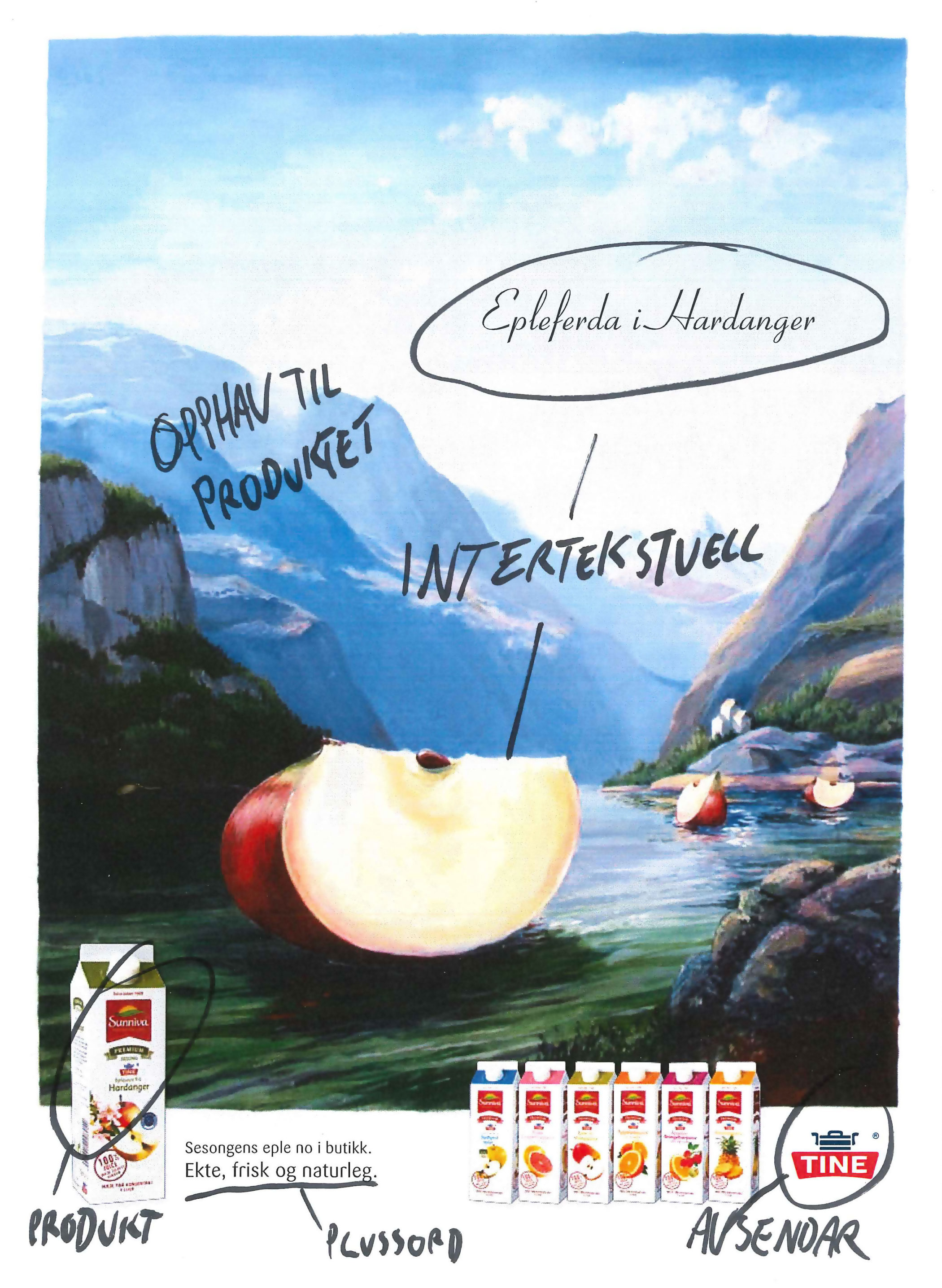 Ei skriveramme for tolking av reklametekst eller haldningskampanje ...